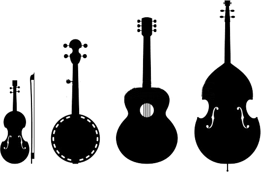 Best Banjo Strings: Complete Guide to String Selection