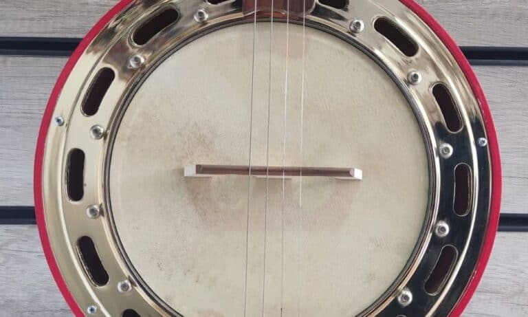 4 String vs. 5 String Banjo: How to Choose the Perfect Instrument?