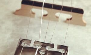 4 String vs. 5 String Banjo: How to Choose the Perfect Instrument?