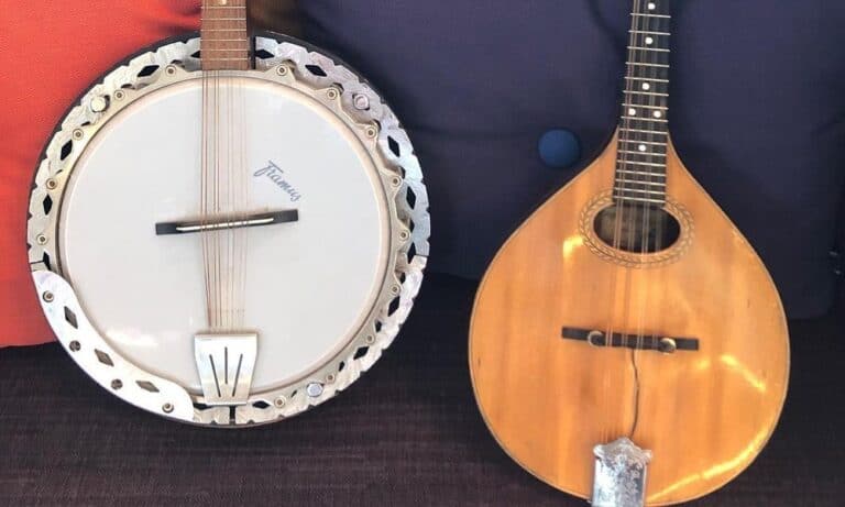 Mandolin vs. Banjo: How to Choose the Instrument?