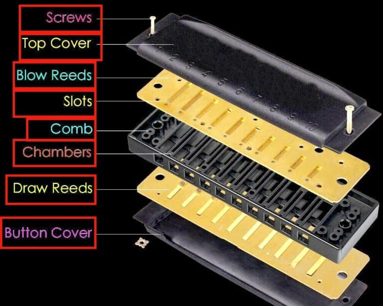 Parts of Harmonica: Detailed Guide for Beginners