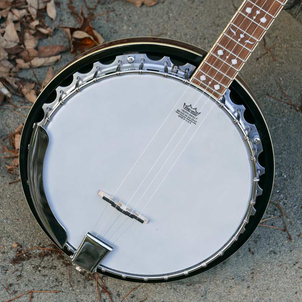 How to Identify Fender Banjo Model: A Step-by-Step Guide