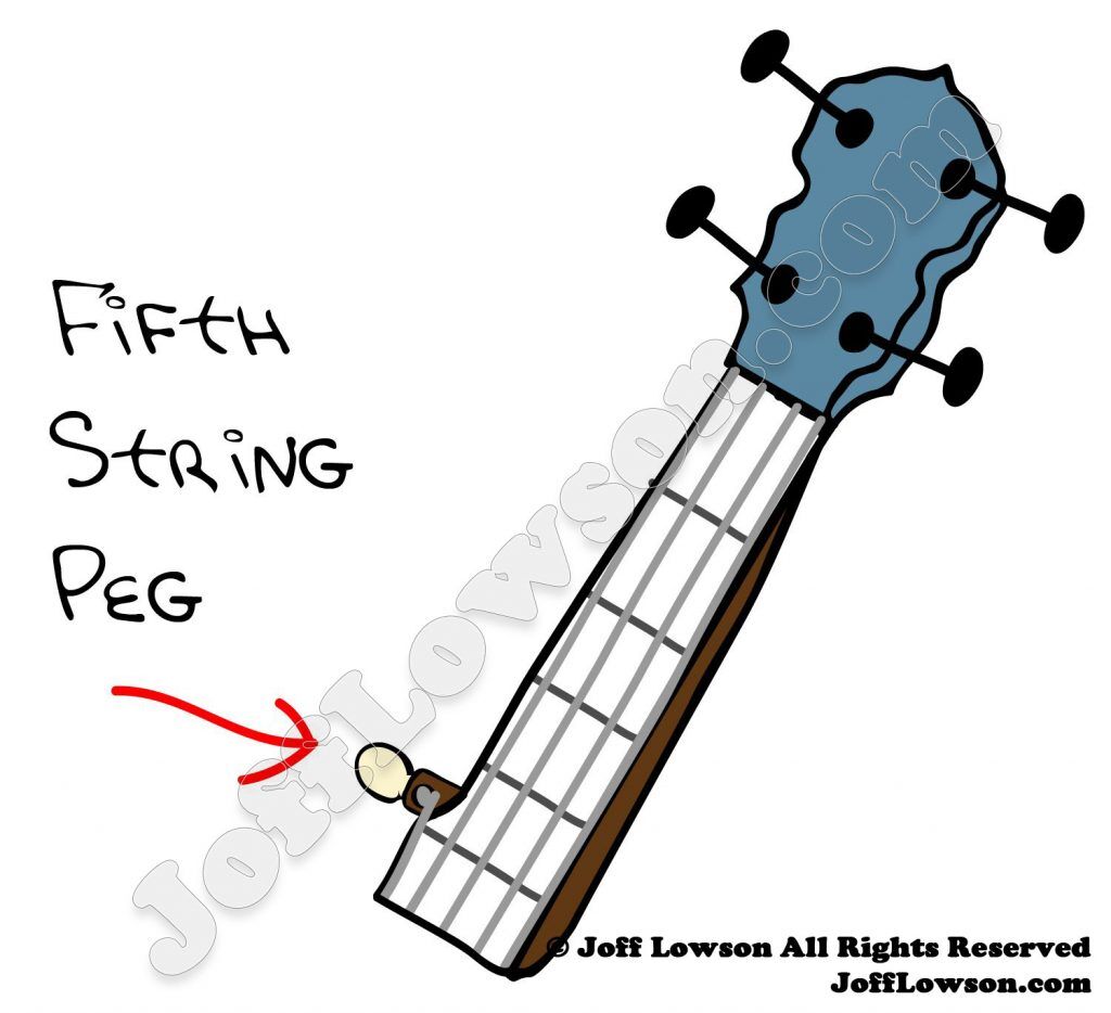 How To Play The Banjo For Dummies: Step-by-Step Guide